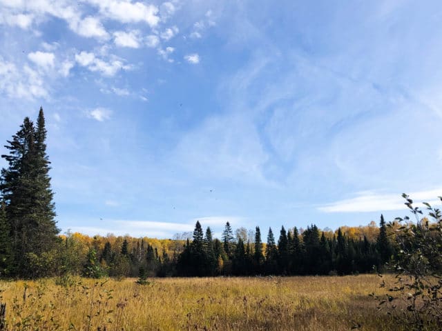 Hiking Eagle Mountain: Minnesota's Highest Point - Sawtooth Outfitters