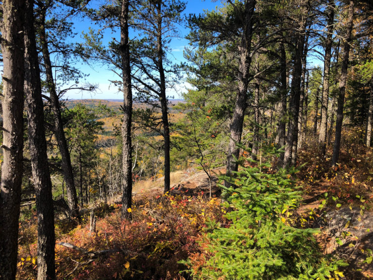Hiking Eagle Mountain: Minnesota's Highest Point - Sawtooth Outfitters